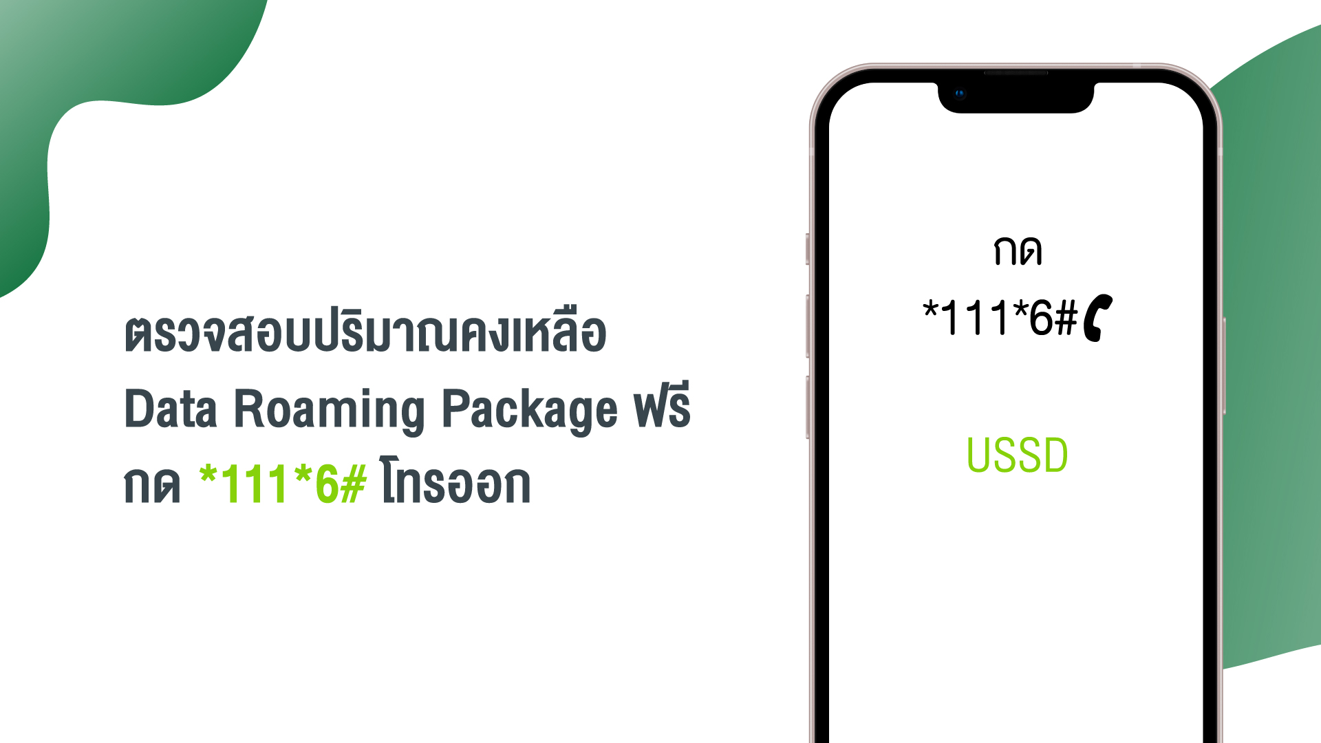 จะตรวจสอบปริมาณ Data Roaming Package ได้อย่างไร?